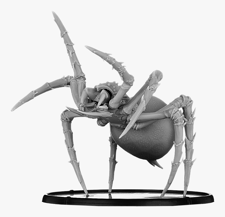 Warrior Spider, HD Png Download , Transparent Png Image - PNGitem