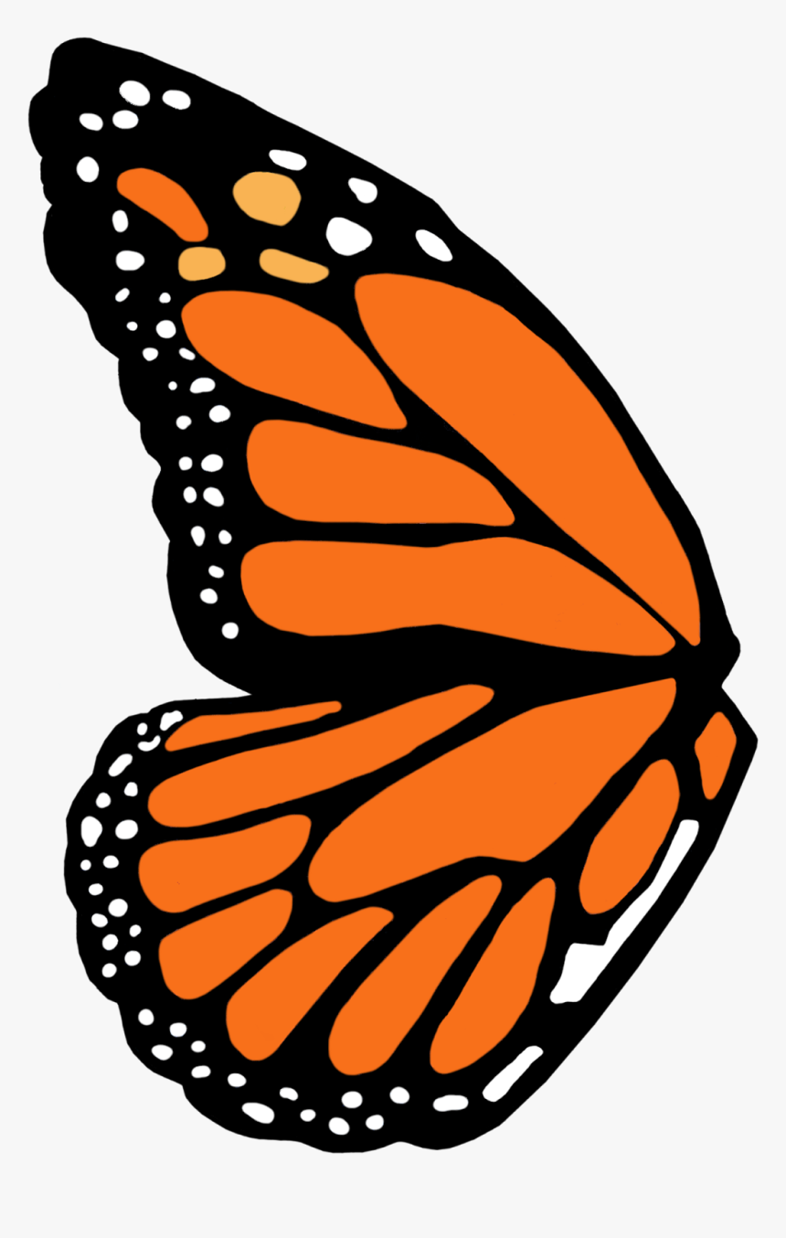 Butterfly Wing Printable Template