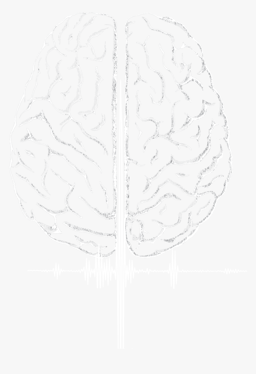 Split Brain Logo For Dark Background-no Text, HD Png Download ...