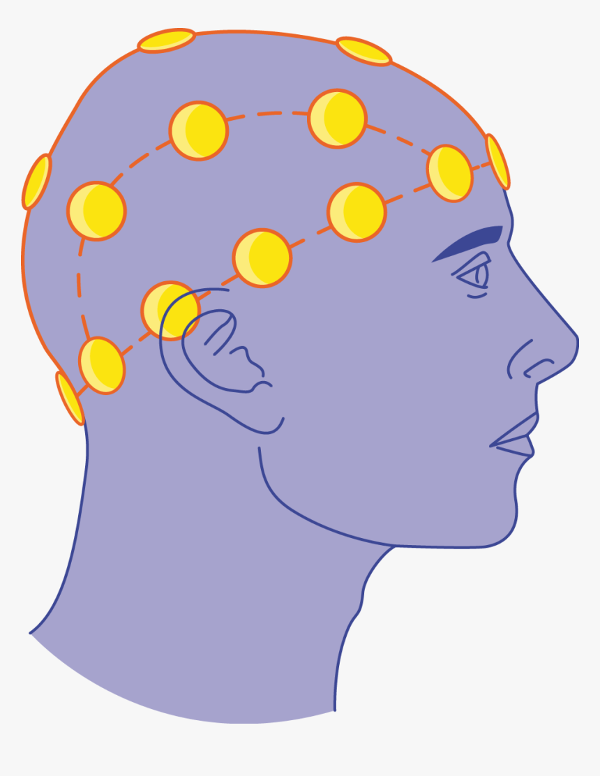 Eeg - Electroencephalogram Eeg Png, Transparent Png , Transparent Png ...