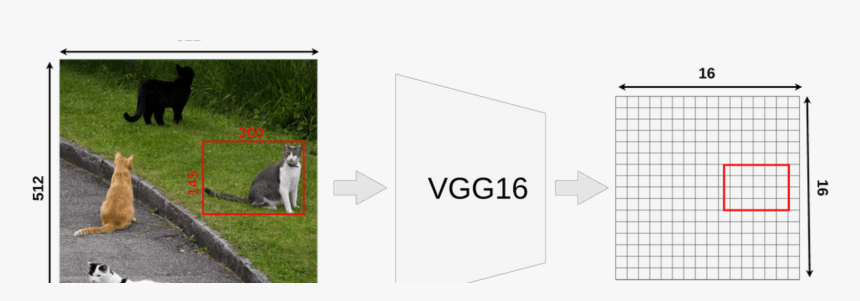 Wallaby, HD Png Download , Transparent Png Image - PNGitem