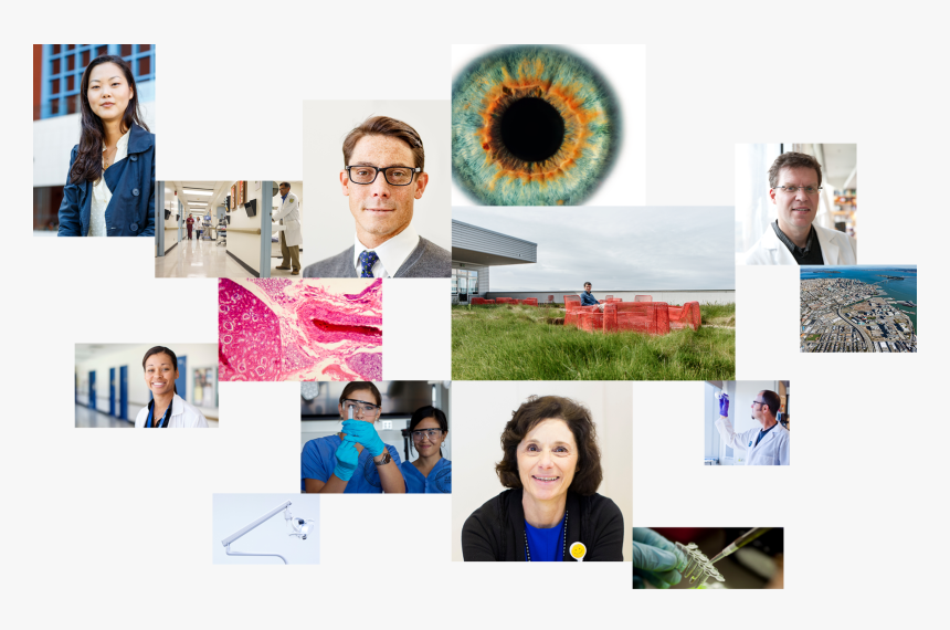 Transparent Collage Template Png - Collage, Png Download , Transparent ...