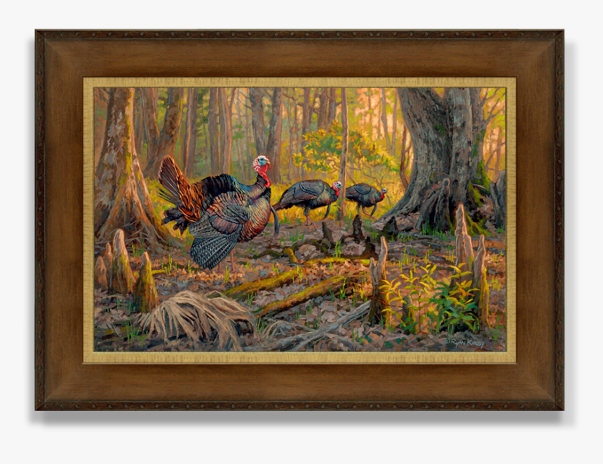 Ryan Kirby Wild Turkey Canvas Print Cypress Sunrise, HD Png Download ...