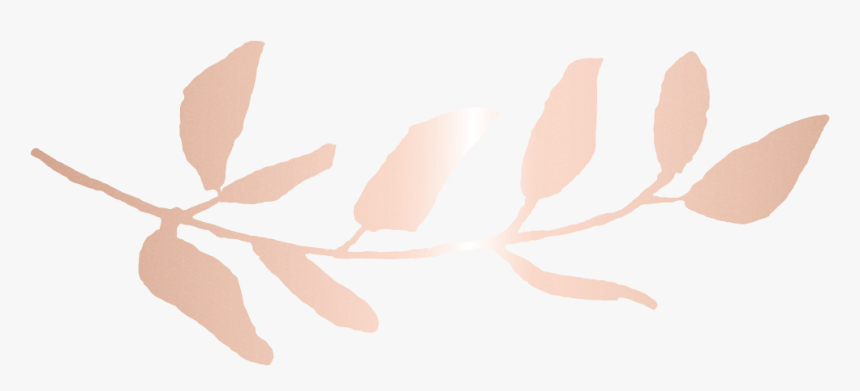 Vertias Studio Branch Rose Gold - Twig, HD Png Download , Transparent ...