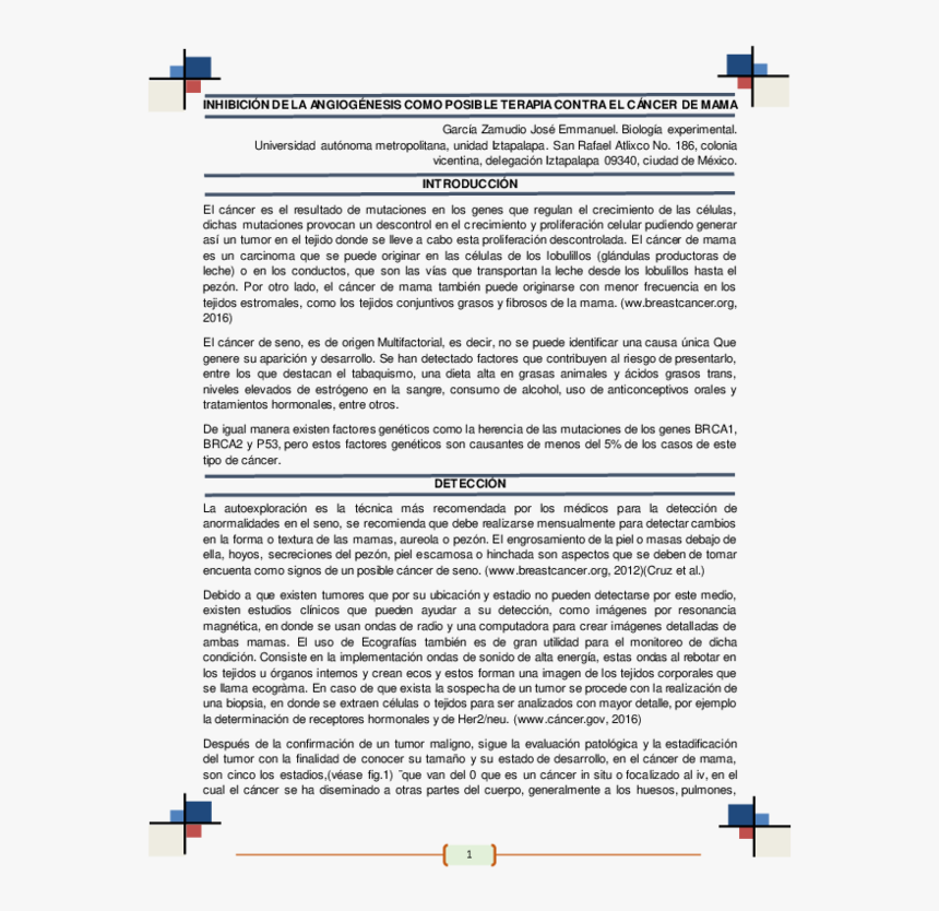 Iafcj, HD Png Download , Transparent Png Image - PNGitem