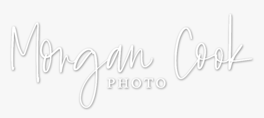 Logo White Shadow - Calligraphy, HD Png Download , Transparent Png ...
