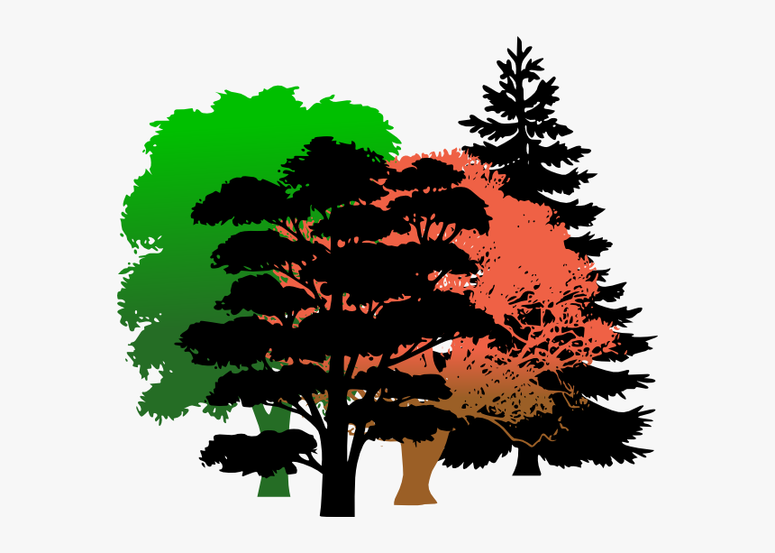 Pine Tree Vector Png, Transparent Png , Transparent Png Image - PNGitem