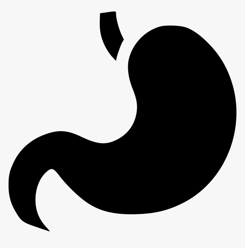 Digestion Stomach Getroenterology Organ Healthcare - Digestion Icon Png ...