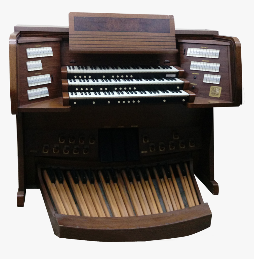 Organ Png, Transparent Png , Transparent Png Image - PNGitem