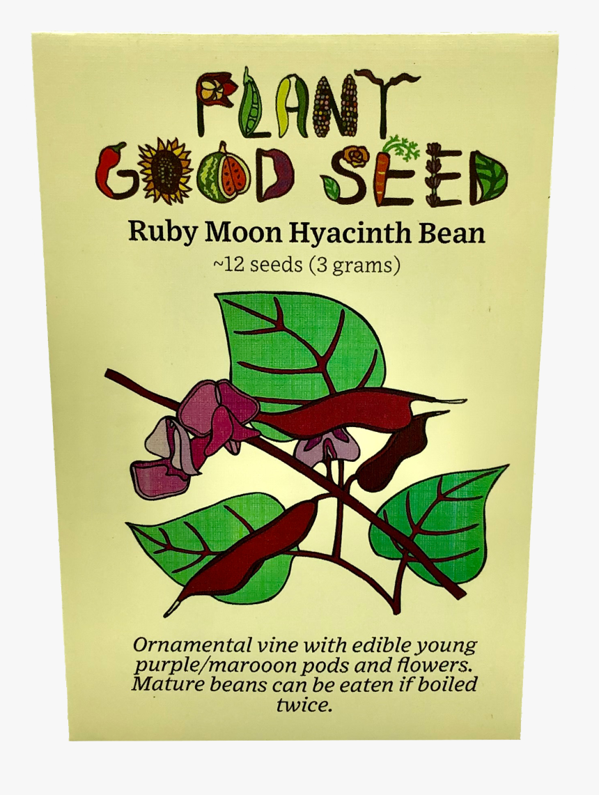 Ruby Moon Hyacinth Bean - Seed, HD Png Download , Transparent Png Image ...