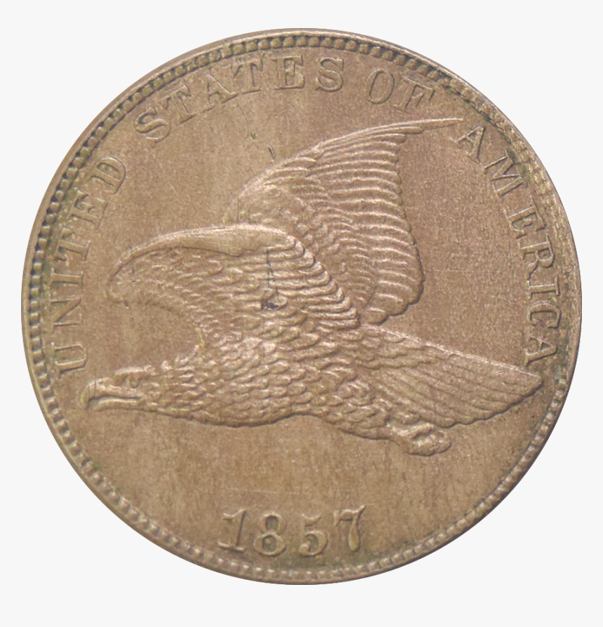 Cash Flying Png, Transparent Png , Transparent Png Image - PNGitem