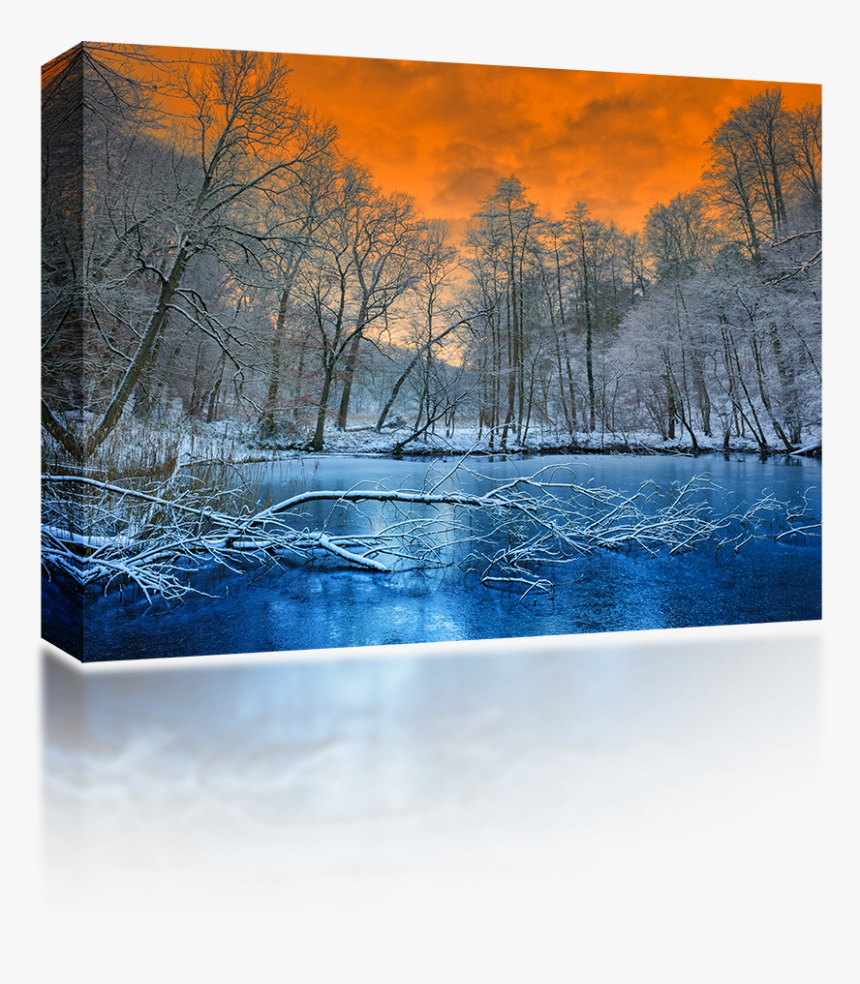 Winter Forest Png, Transparent Png , Transparent Png Image - PNGitem