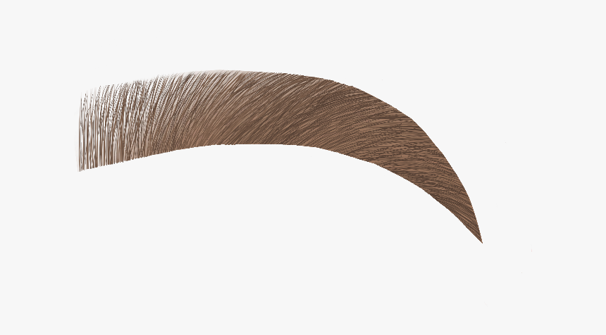 Transparent Eyebrows