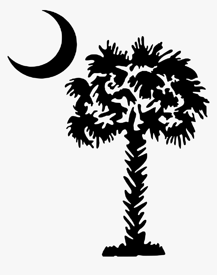 South Carolina Flag Png, Transparent Png , Transparent Png Image - PNGitem