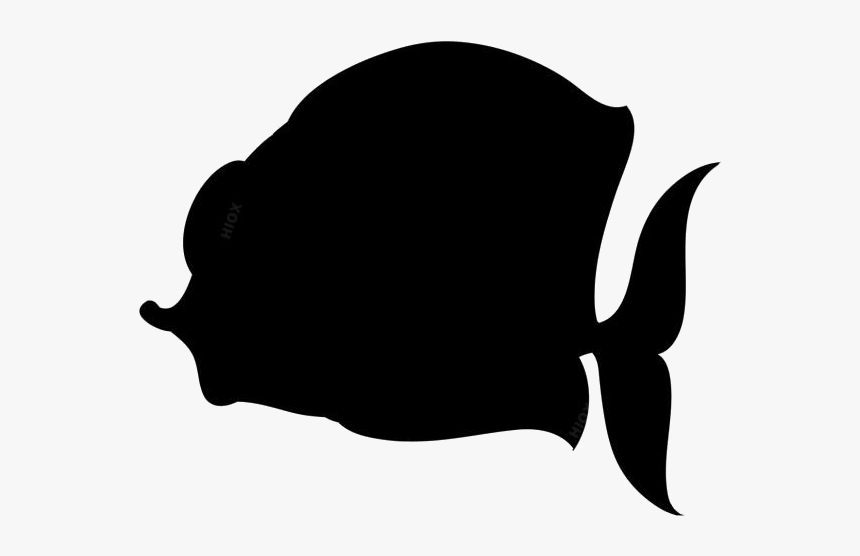 Transparent Big Fish Clipart, Big Fish Png Image - Illustration, Png ...
