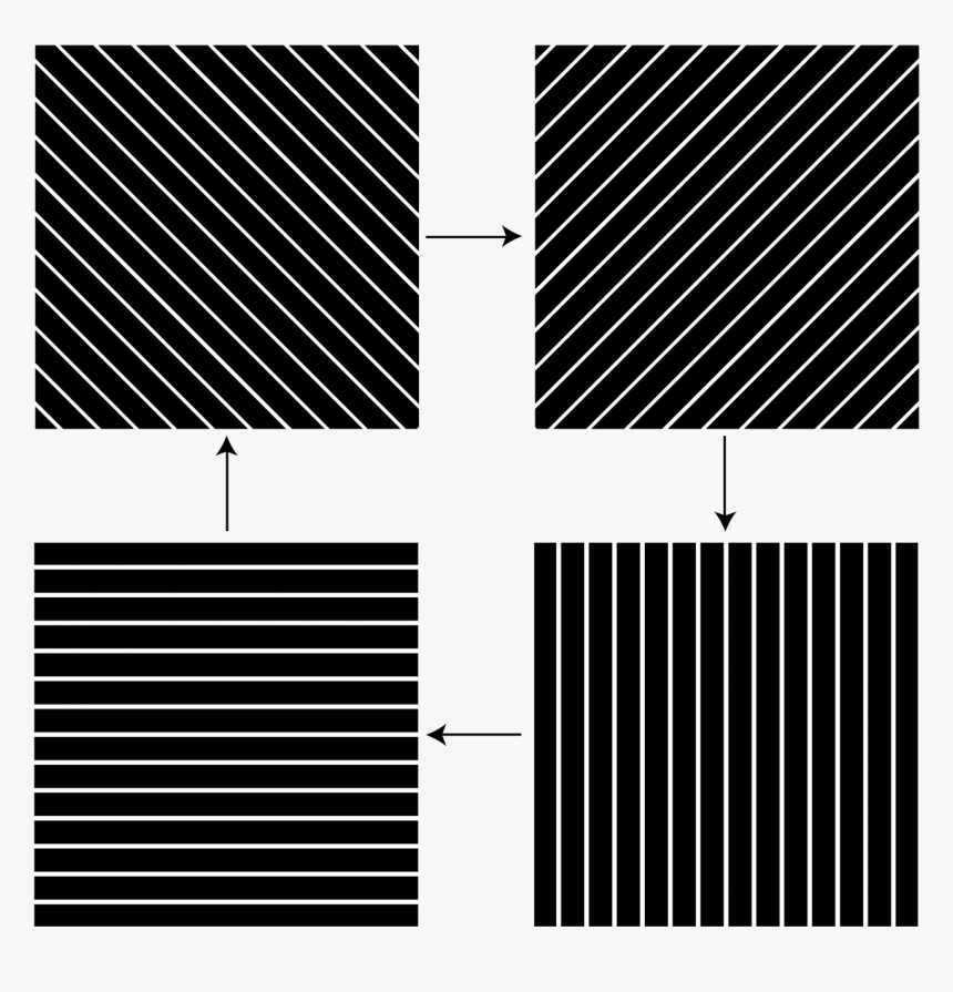 Alternate Skin Rotation Data Viewer Skin Rotation Complete - Monochrome ...