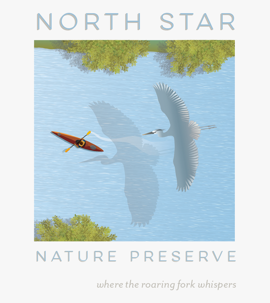 Nsnp Stacked Logo 3, HD Png Download , Transparent Png Image - PNGitem