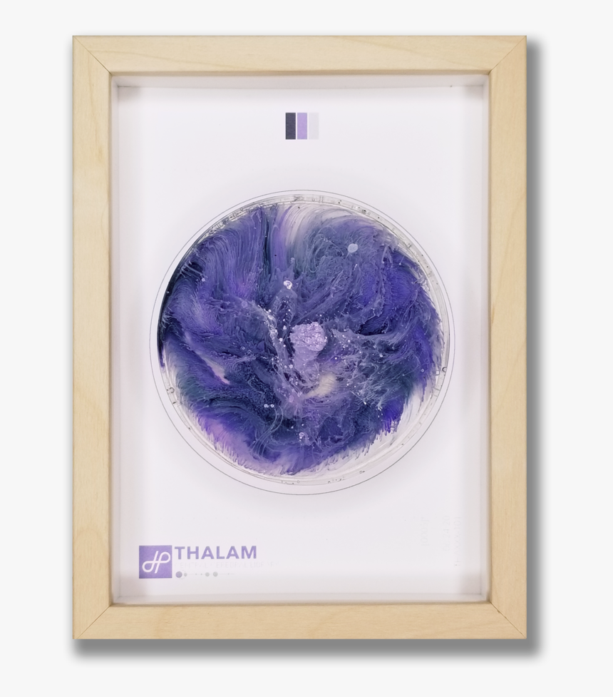 Os - Planet - Thalam - Picture Frame, HD Png Download , Transparent Png ...