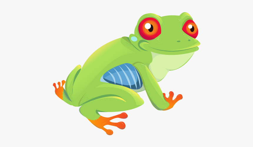 Red-eyed Tree Frog, HD Png Download , Transparent Png Image - PNGitem