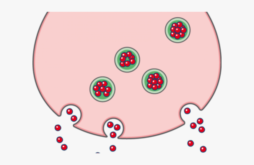 Transparent Science Conclusion Clipart - Circle, HD Png Download ...