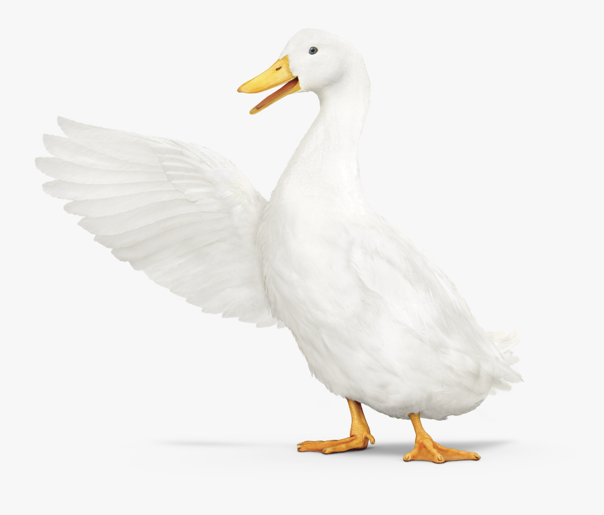 Aflac Duck Pointing Left - Aflac Duck Transparent, HD Png Download ...