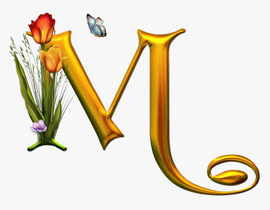 Hadi Name, HD Png Download , Transparent Png Image - PNGitem