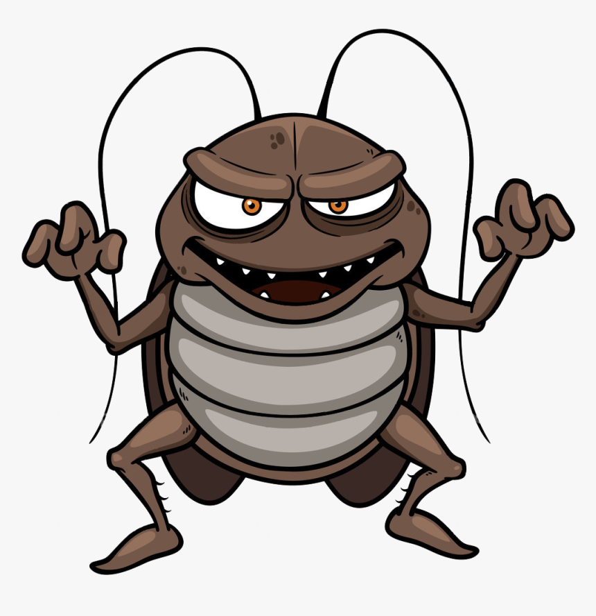 Cartoon Cockroach, HD Png Download , Transparent Png Image - PNGitem