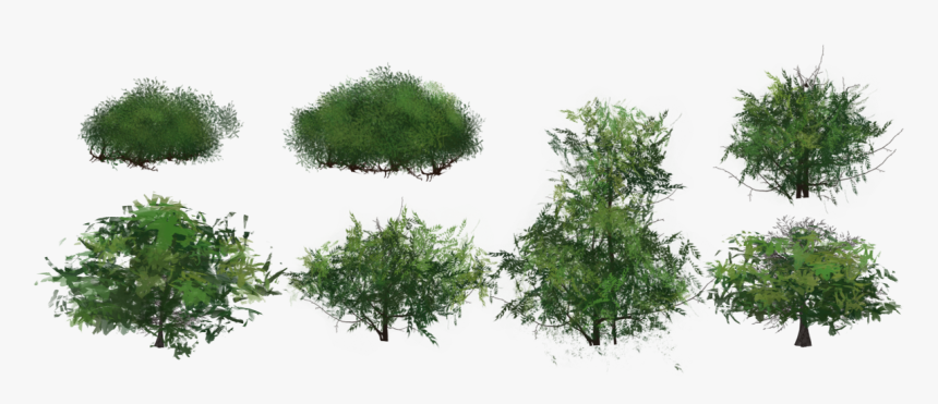 2d Plant Png, Transparent Png , Transparent Png Image - PNGitem