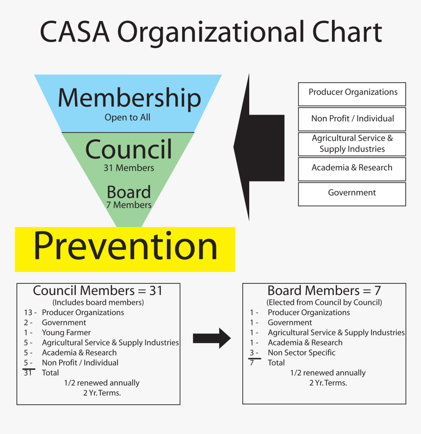 Casa Organizational Structure - Paper, HD Png Download , Transparent ...