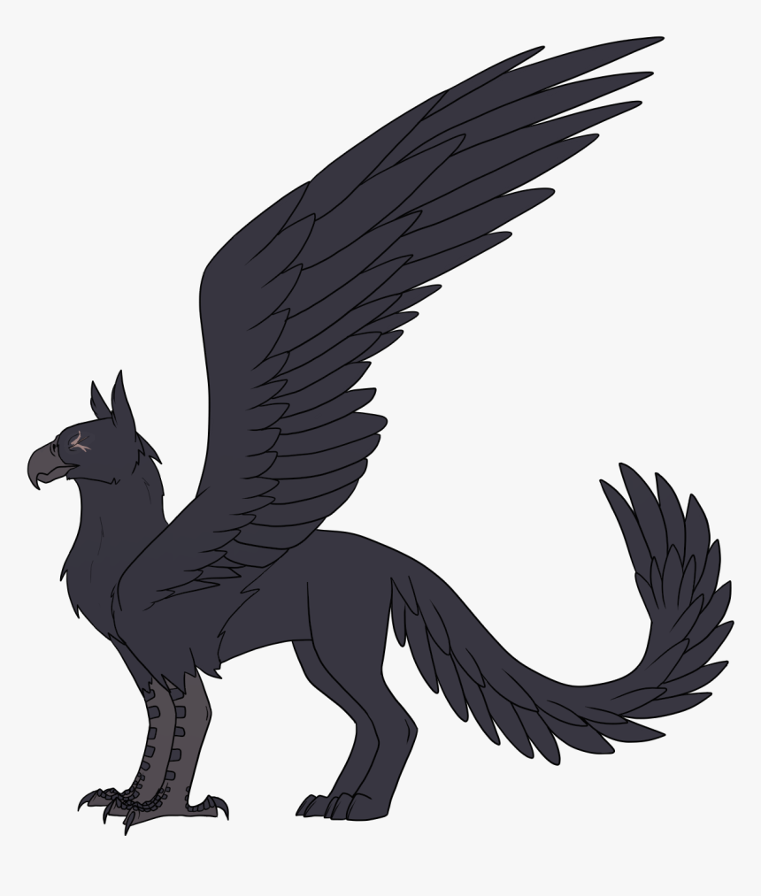 The Summer King Chronicles Wiki - Shard Song Of The Summer King, HD Png ...