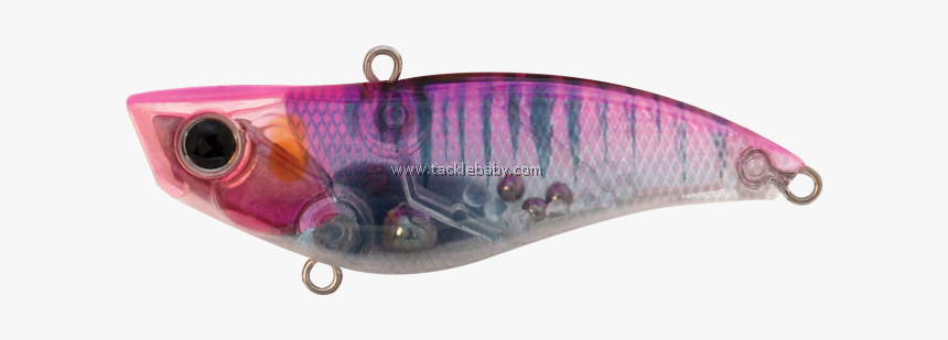 Fin, HD Png Download , Transparent Png Image - PNGitem