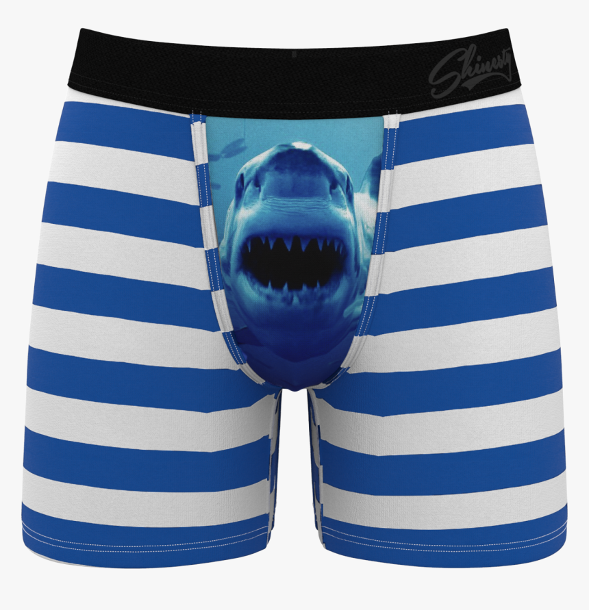 Shinesty Shark, HD Png Download , Transparent Png Image - PNGitem