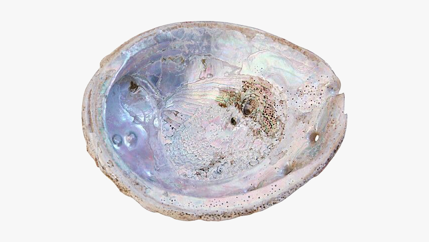 Ceramic, HD Png Download , Transparent Png Image - PNGitem