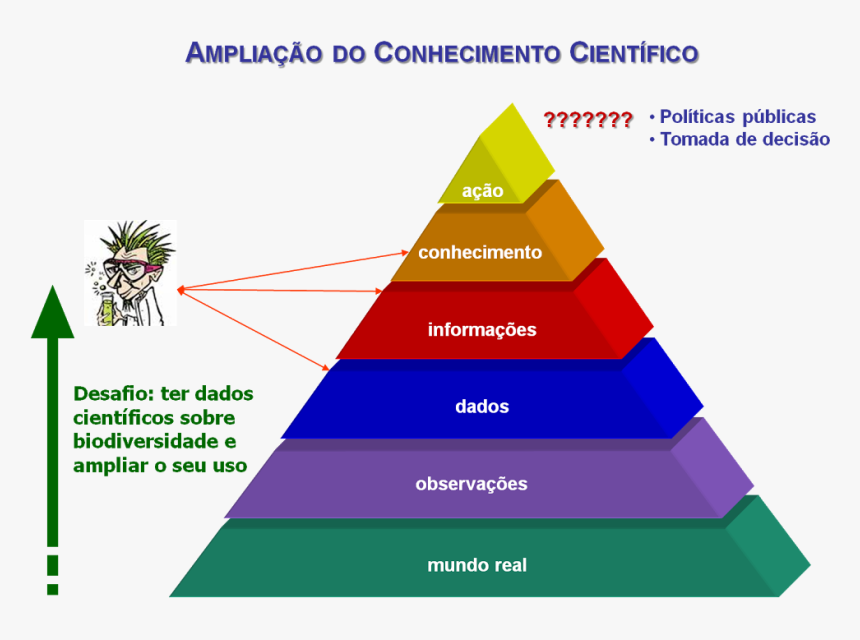 Biology Triangle, HD Png Download , Transparent Png Image - PNGitem