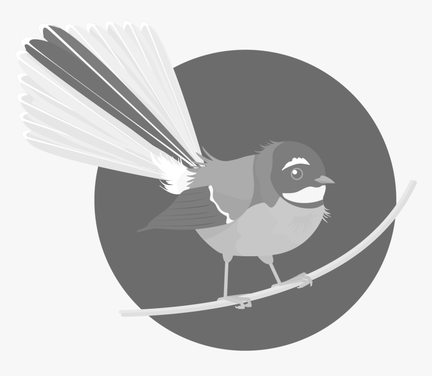 Old World Flycatcher, HD Png Download , Transparent Png Image - PNGitem