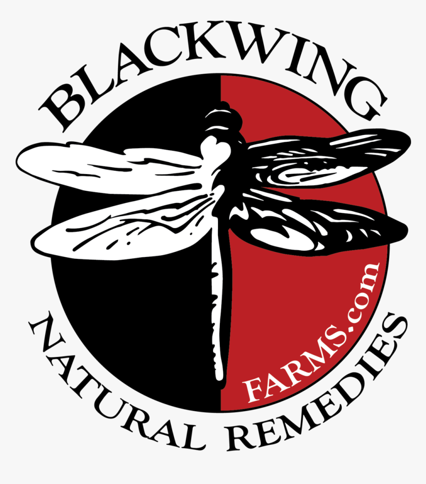 Malayan Insurance, HD Png Download , Transparent Png Image - PNGitem