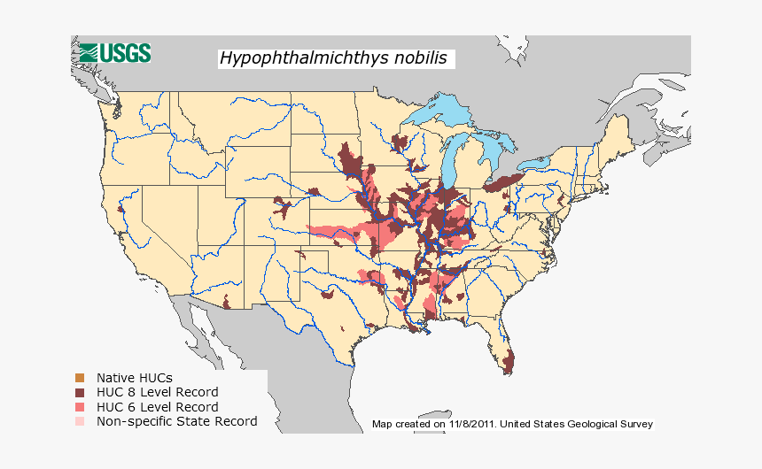 The Distribution Of The Bighead Carp In The U - Distribution Of Silver ...