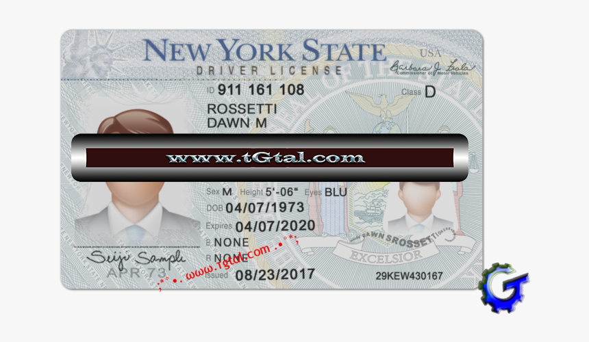 New York Drivers License 2019, HD Png Download , Transparent Png Image ...