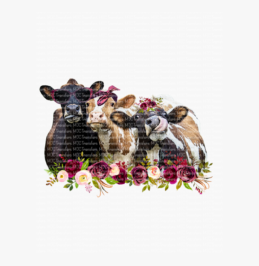 Heifer Sublimation, HD Png Download , Transparent Png Image - PNGitem