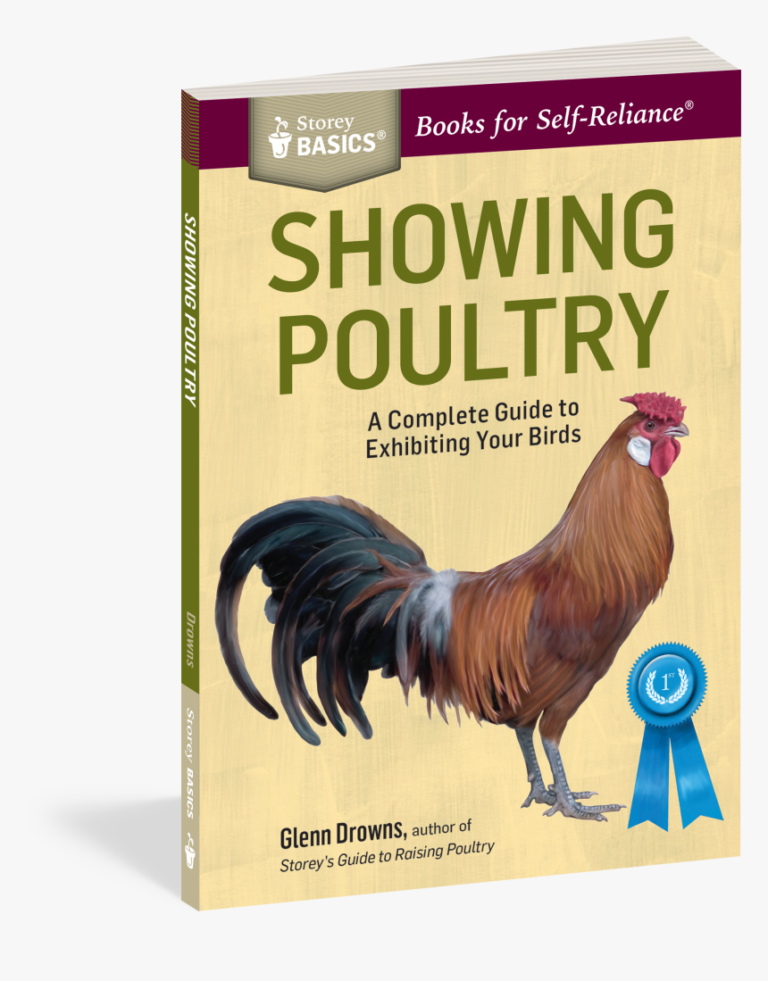 Cover - Rooster, HD Png Download , Transparent Png Image - PNGitem