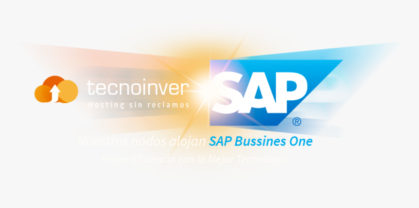 Sap Partner, HD Png Download , Transparent Png Image - PNGitem