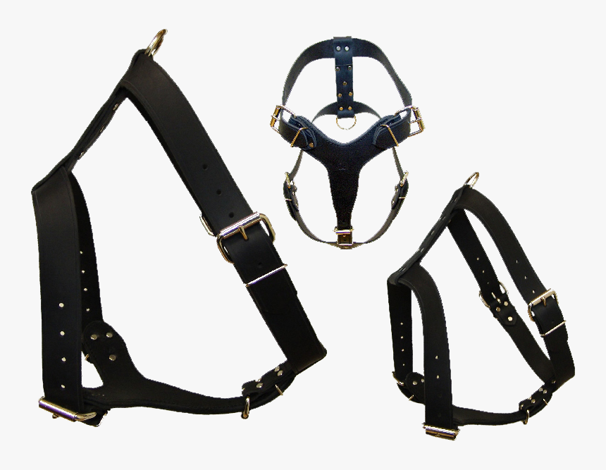 Halter, HD Png Download , Transparent Png Image - PNGitem