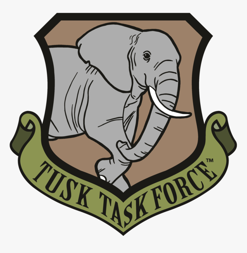 Force Png, Transparent Png , Transparent Png Image - PNGitem