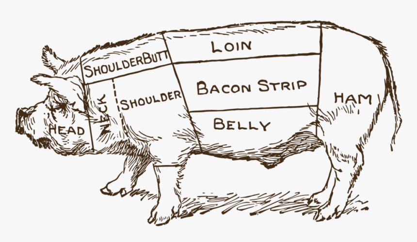 Butcher Pig Illustration