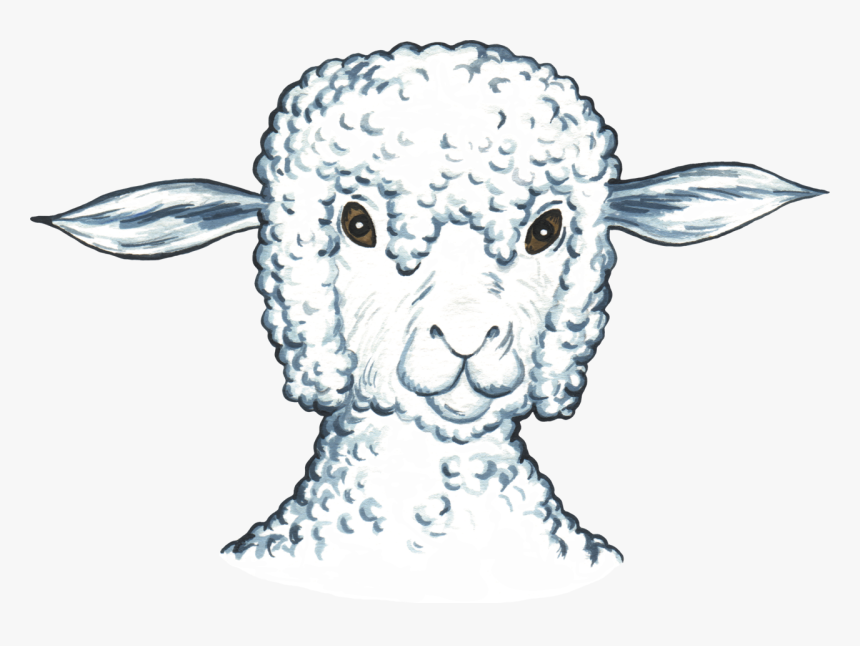 Transparent Sheep Head Png - Sheep, Png Download , Transparent Png ...