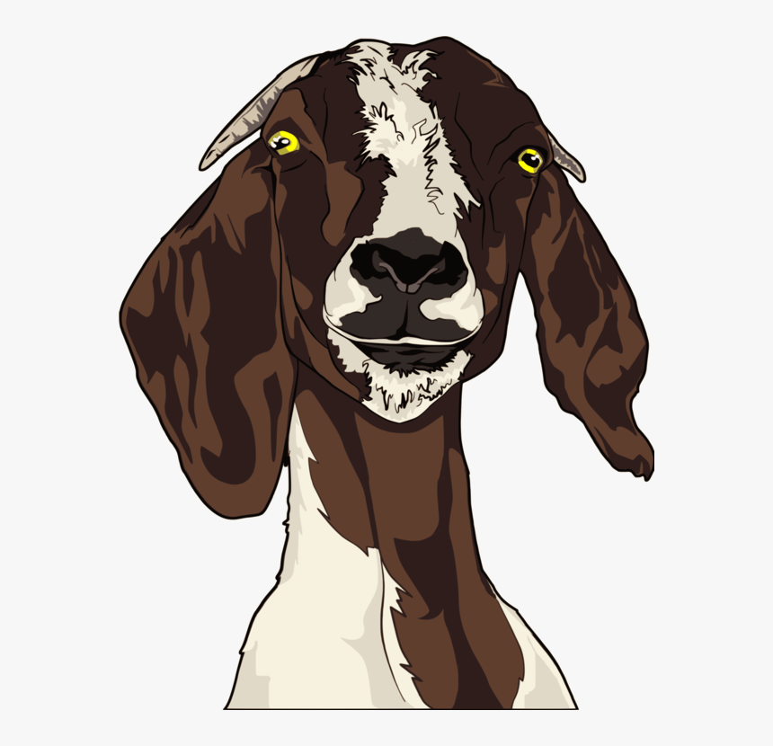 Sheep Head Png, Transparent Png , Transparent Png Image - PNGitem