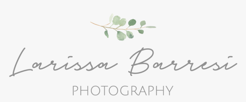 Larissa Barresi Photography - Calligraphy, HD Png Download ...