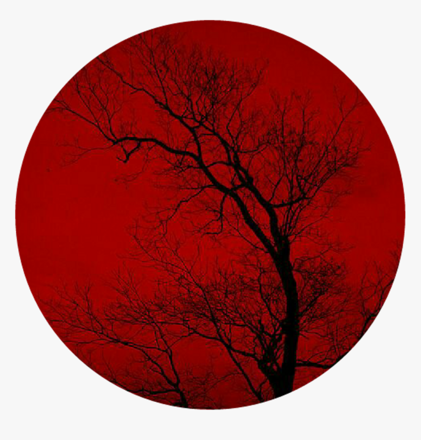 Circulo Rojo Png - Circle, Transparent Png , Transparent Png Image ...