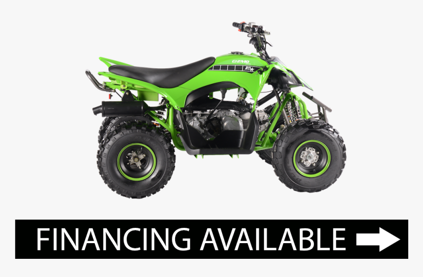 Gizmo Png, Transparent Png , Transparent Png Image - PNGitem