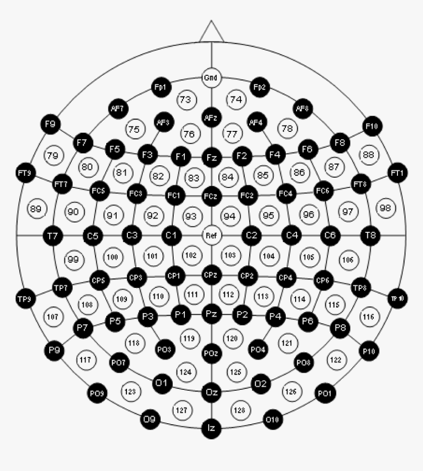 128 Channel Eeg Cap, HD Png Download , Transparent Png Image - PNGitem